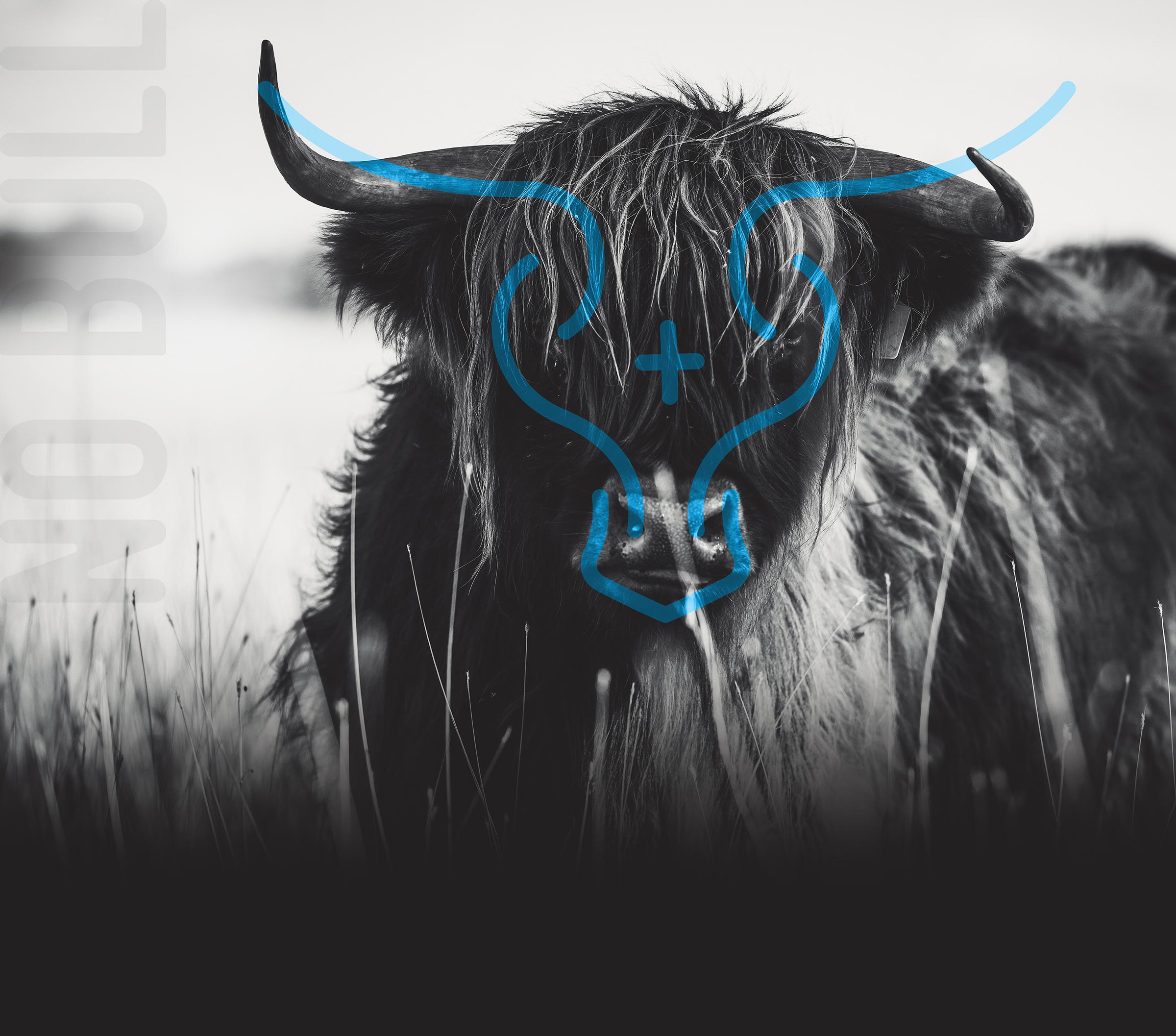 About Us - Stephenson + Taylor